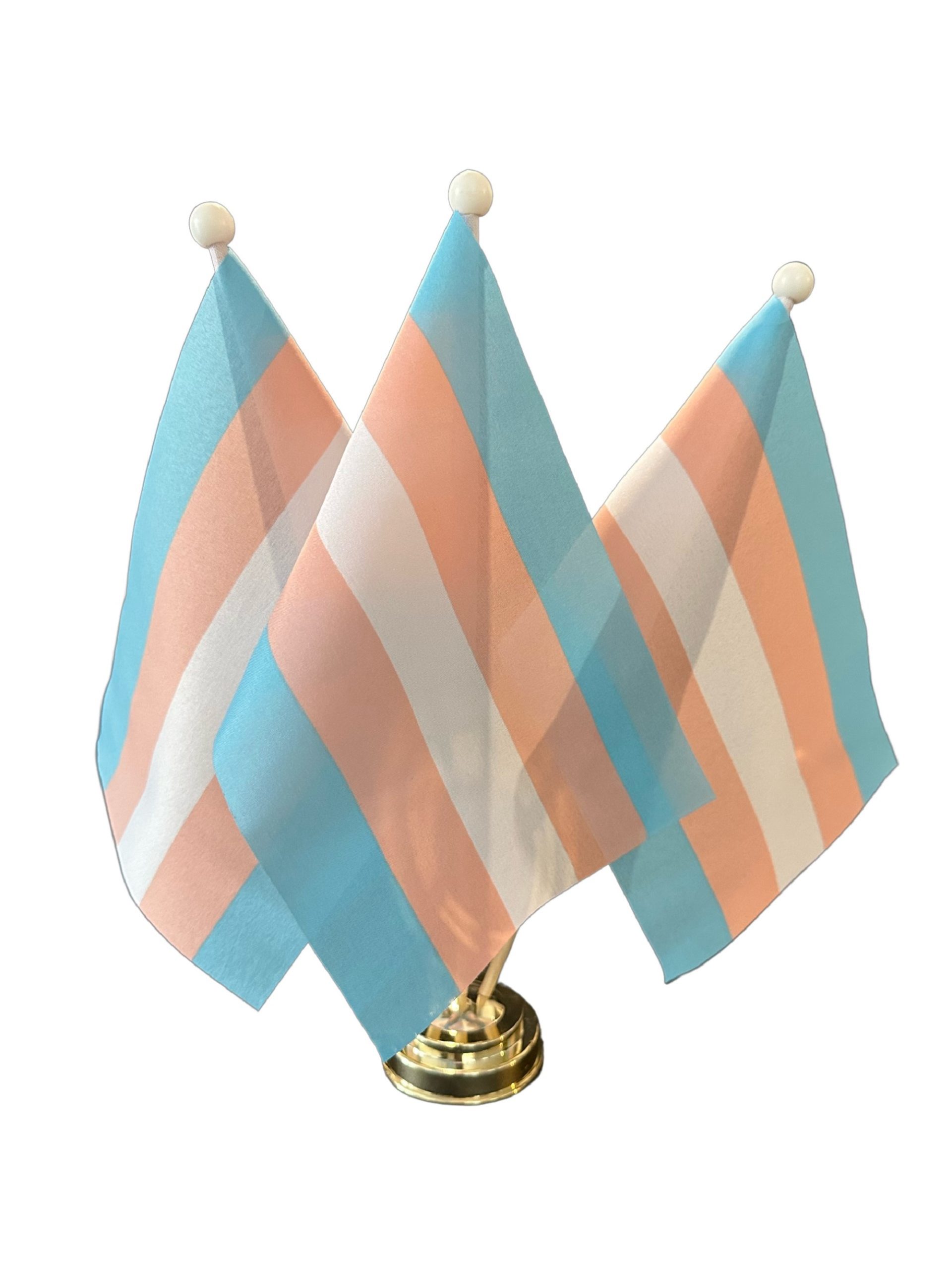 Set of 3 Transgender Gay Pride LGBTQ+ 9″X6″ Table Flags on Plastic Gold ...